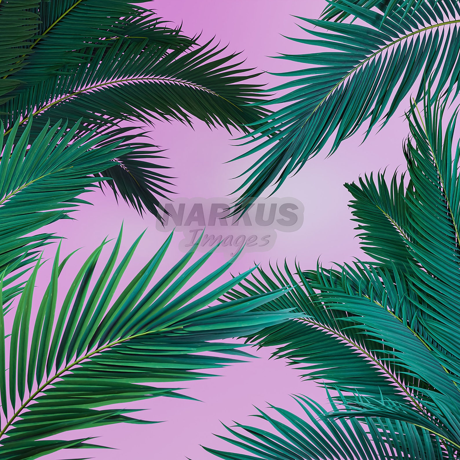 Tropical Plants and Palm Trees Digital Paper Set of 10 - Etsy
