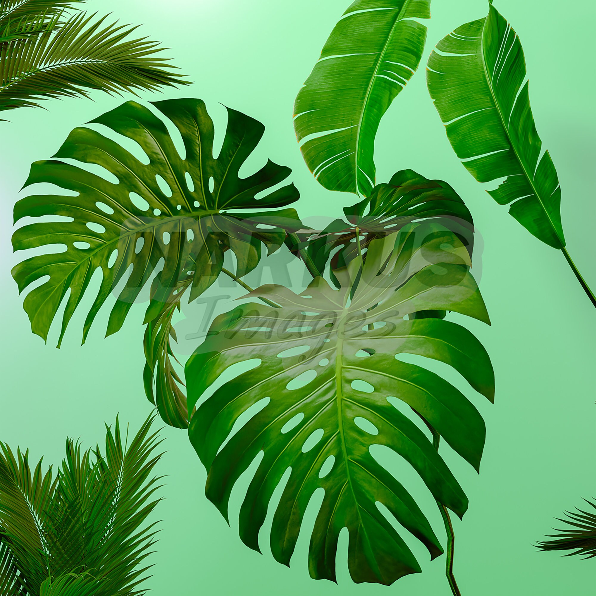 Tropical Plants and Palm Trees Digital Paper Set of 10 Collection Paper ...