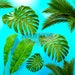 Tropical Plants and Palm Trees Digital Paper Set of 10 - Etsy
