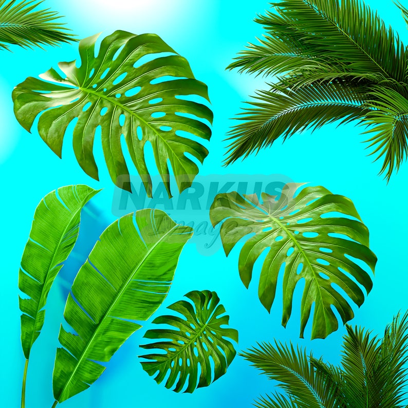 Tropical Plants and Palm Trees Digital Paper Set of 10 Collection Paper ...