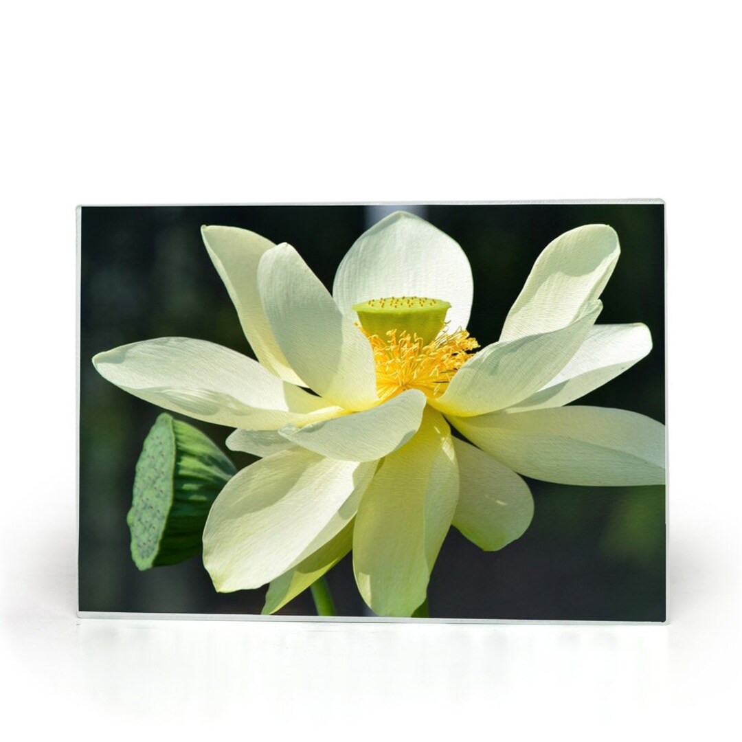 Lotus Cutting Board Glass Cutting Board Floral Kitchen - Etsy