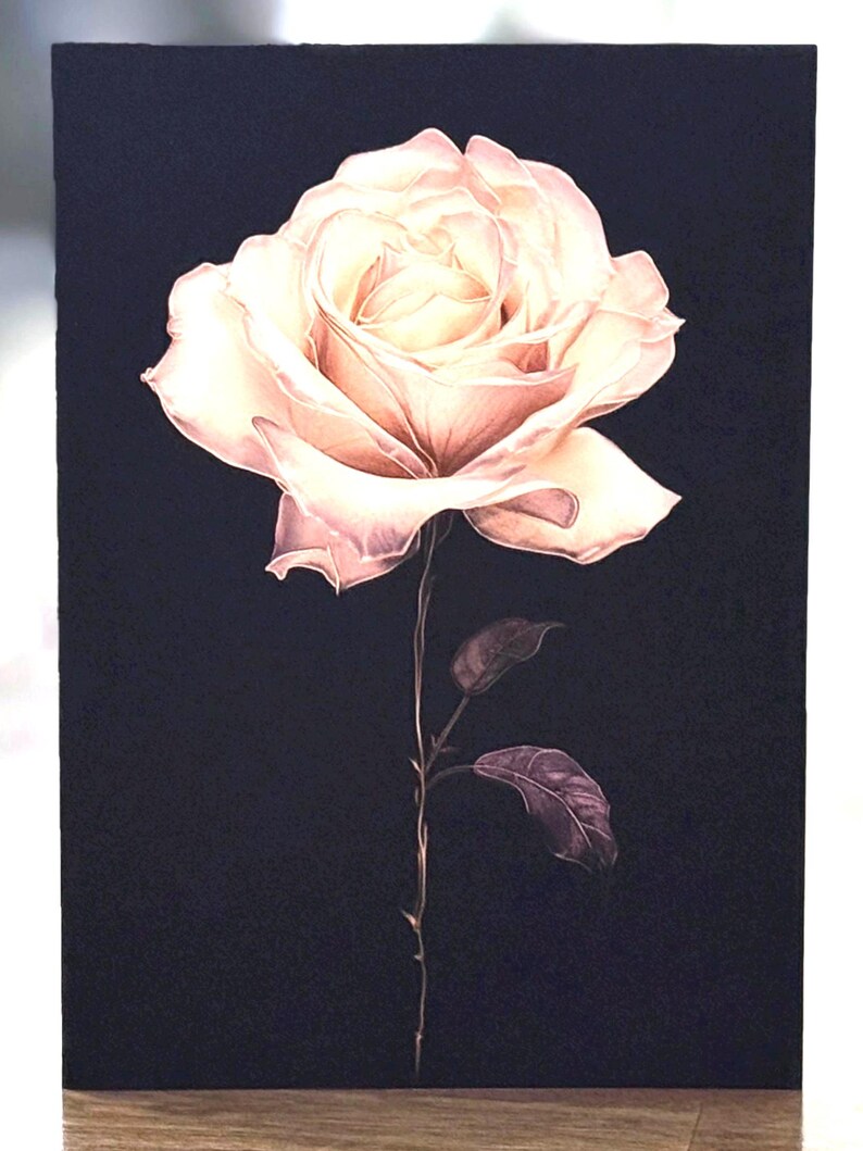 Gilded Rose #1 | Elegant White Floral Greeting Card, Blank 5x7 Nature ...
