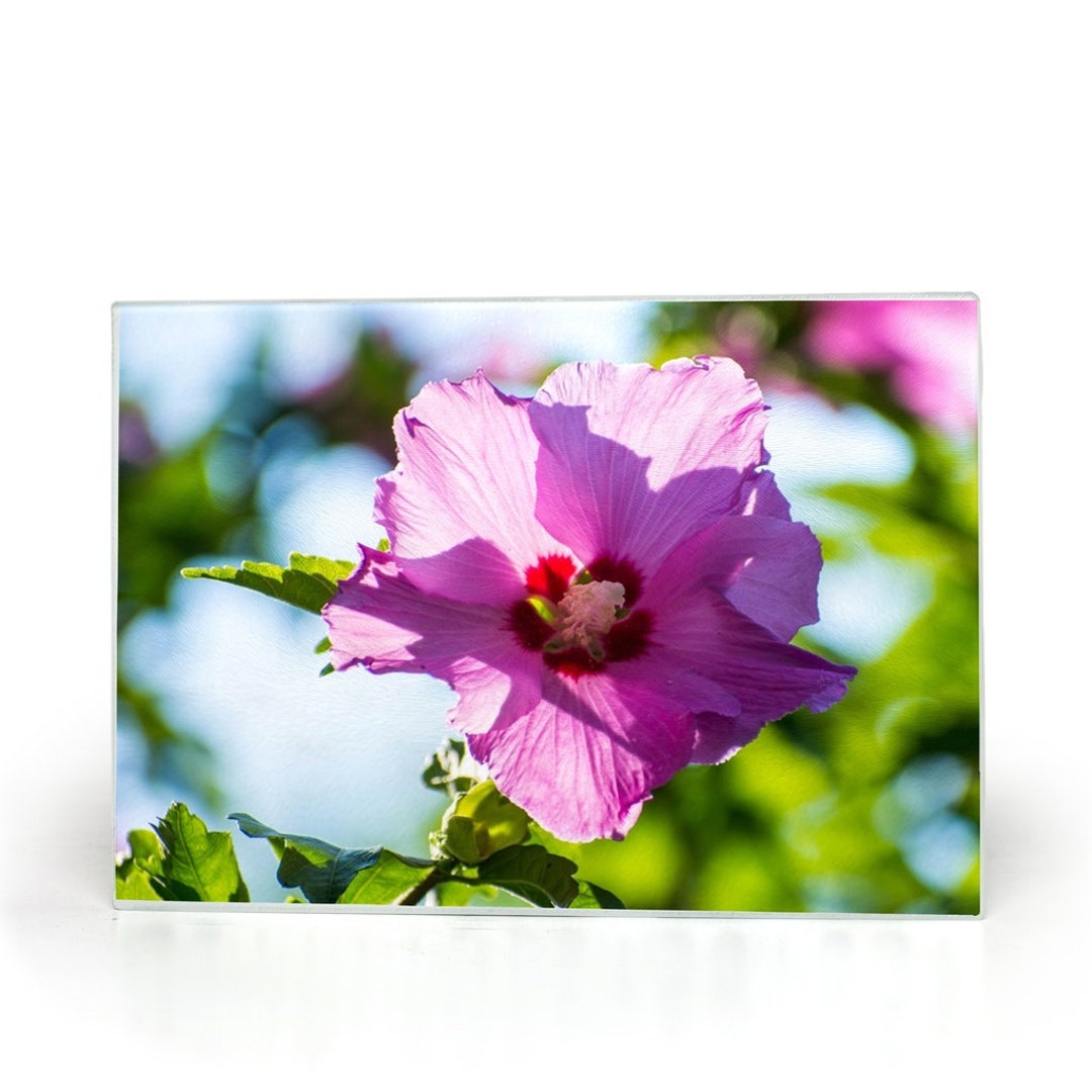 Rose of Sharon Cutting Board - Floral Kitchen Decor - Glass Cutting ...