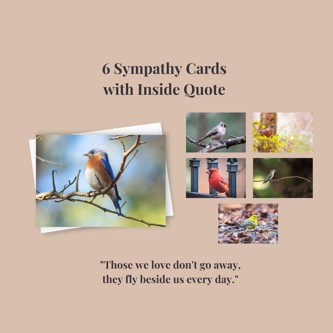 Sympathy Card Set | 6 Bird Photography Cards, Condolence Stationery ...