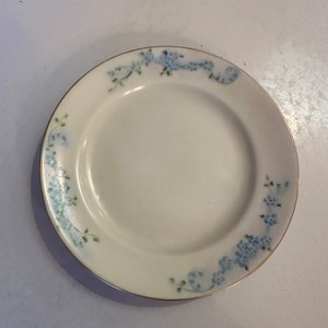 Antique Hand Painted Plate - Forget-me-nots - Gold Trimmed - Etsy