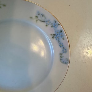 Antique Hand Painted Plate - Forget-me-nots - Gold Trimmed - Etsy