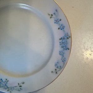 Antique Hand Painted Plate - Forget-me-nots - Gold Trimmed - Etsy