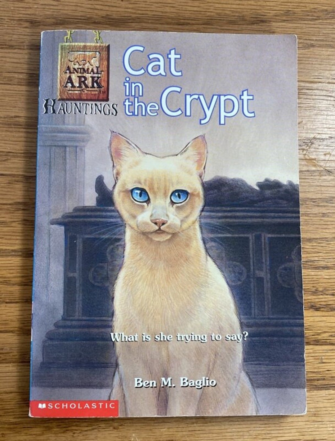 Cat in the Crypt ANIMAL ARK Hauntings 2 by Ben M.baglio Paperback Book ...
