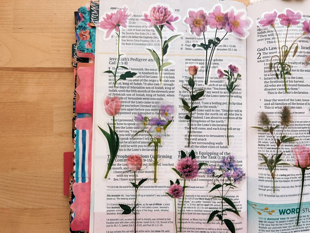 Peony Pink Journaling Sticker Pack (20ct) - Etsy