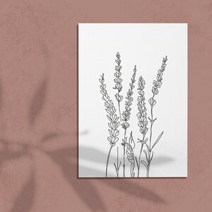 Lavender line art print lavender flowers Lavender print | Etsy