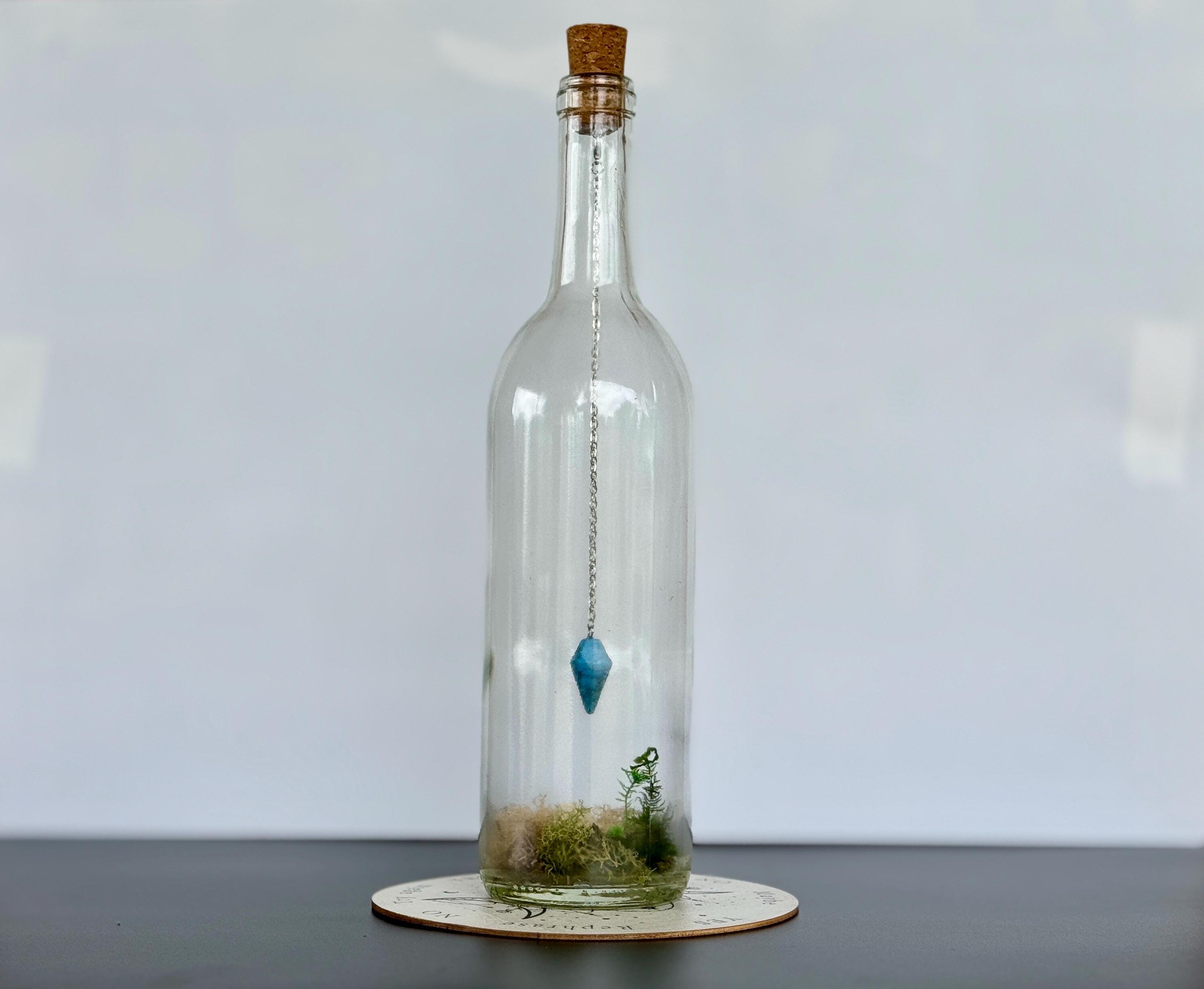 Glass Bottle Pendulum With Moss Base - Etsy