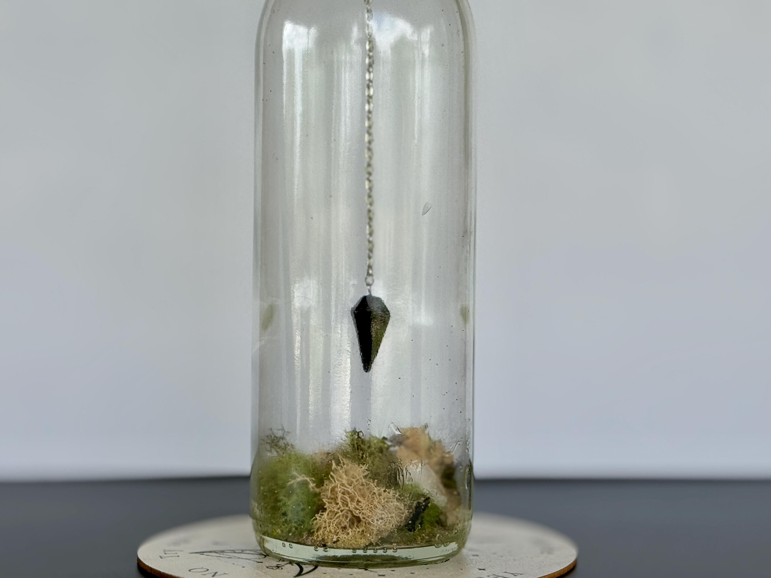 Glass Bottle Pendulum With Moss Base – Resin Pendulum Sealed Under Cork ...