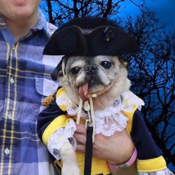 George Washington Dog Costume - Etsy