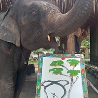 Trunk Made Painting, Oil Painting Made by Thai Elephant, Elephant Wall ...