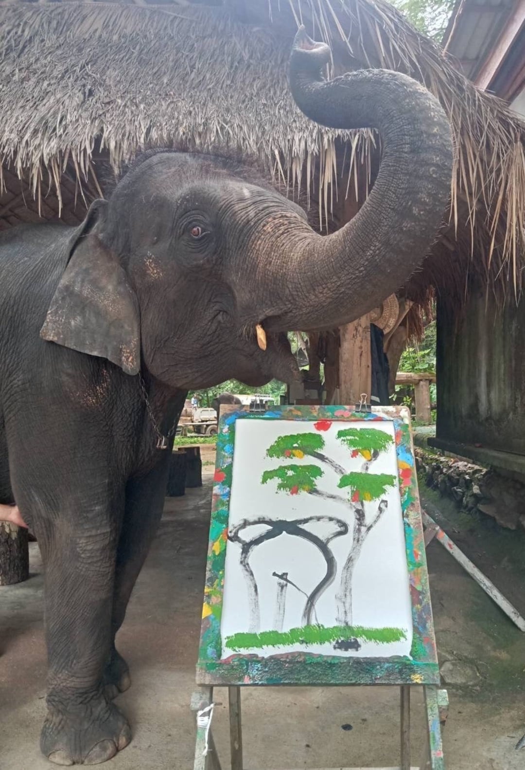 Oil Painting Trunk Made by Thai Elephant, Elephant Painting, Birthday ...
