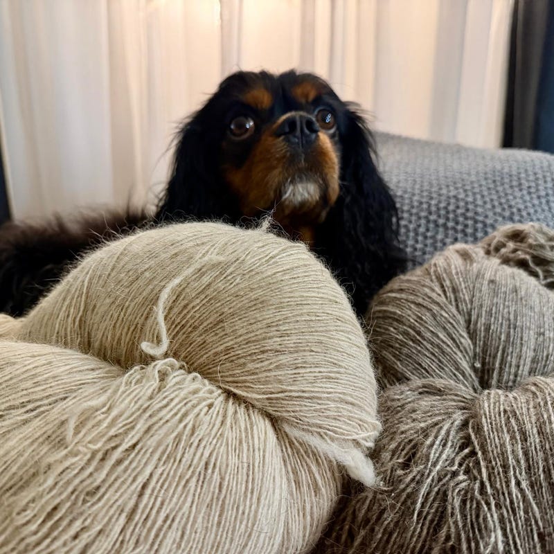 Lana hilo 100g lana de oveja - Etsy México