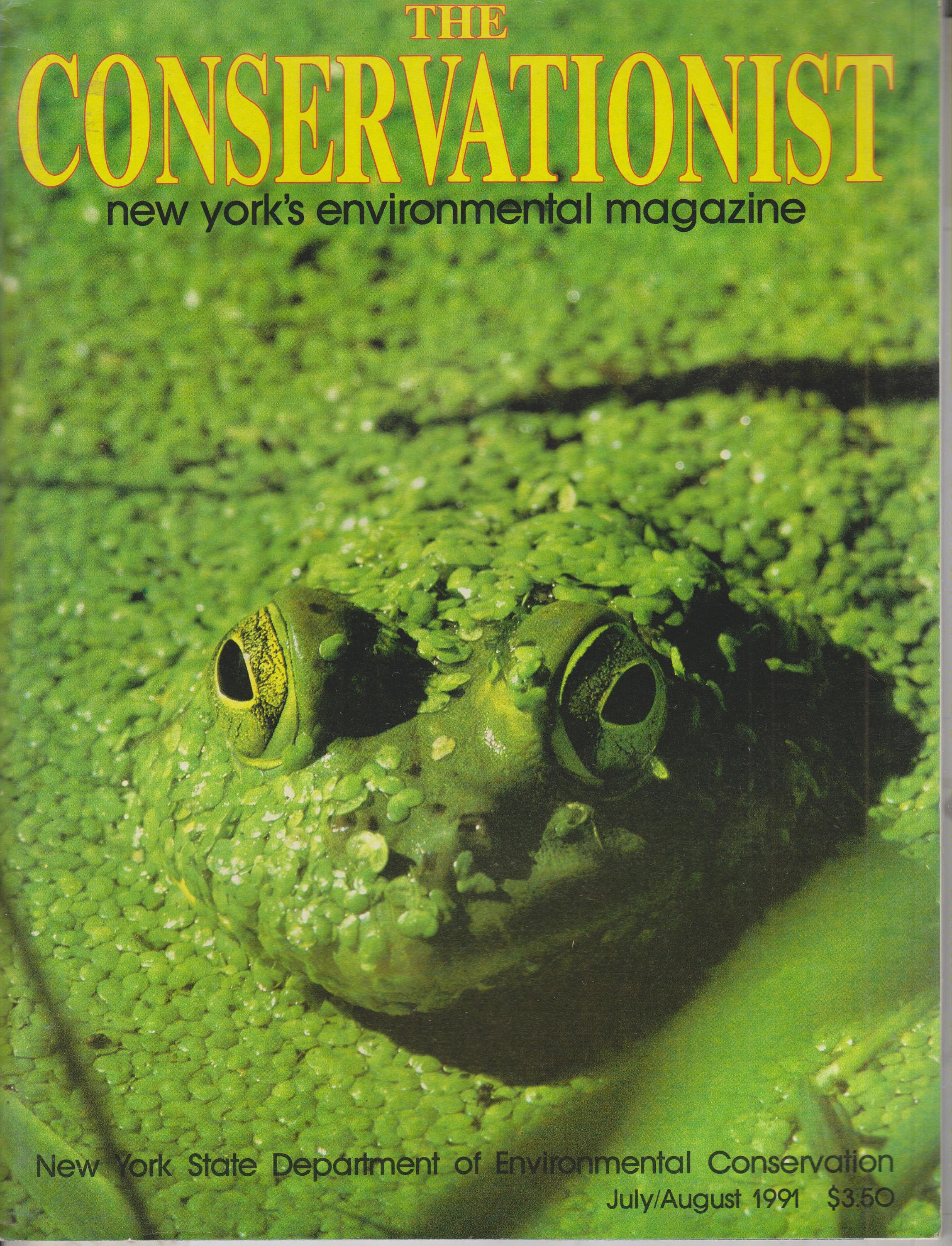 The Conservationist July August 1991 Bullfrog; Canoeing; The Adironacks ...