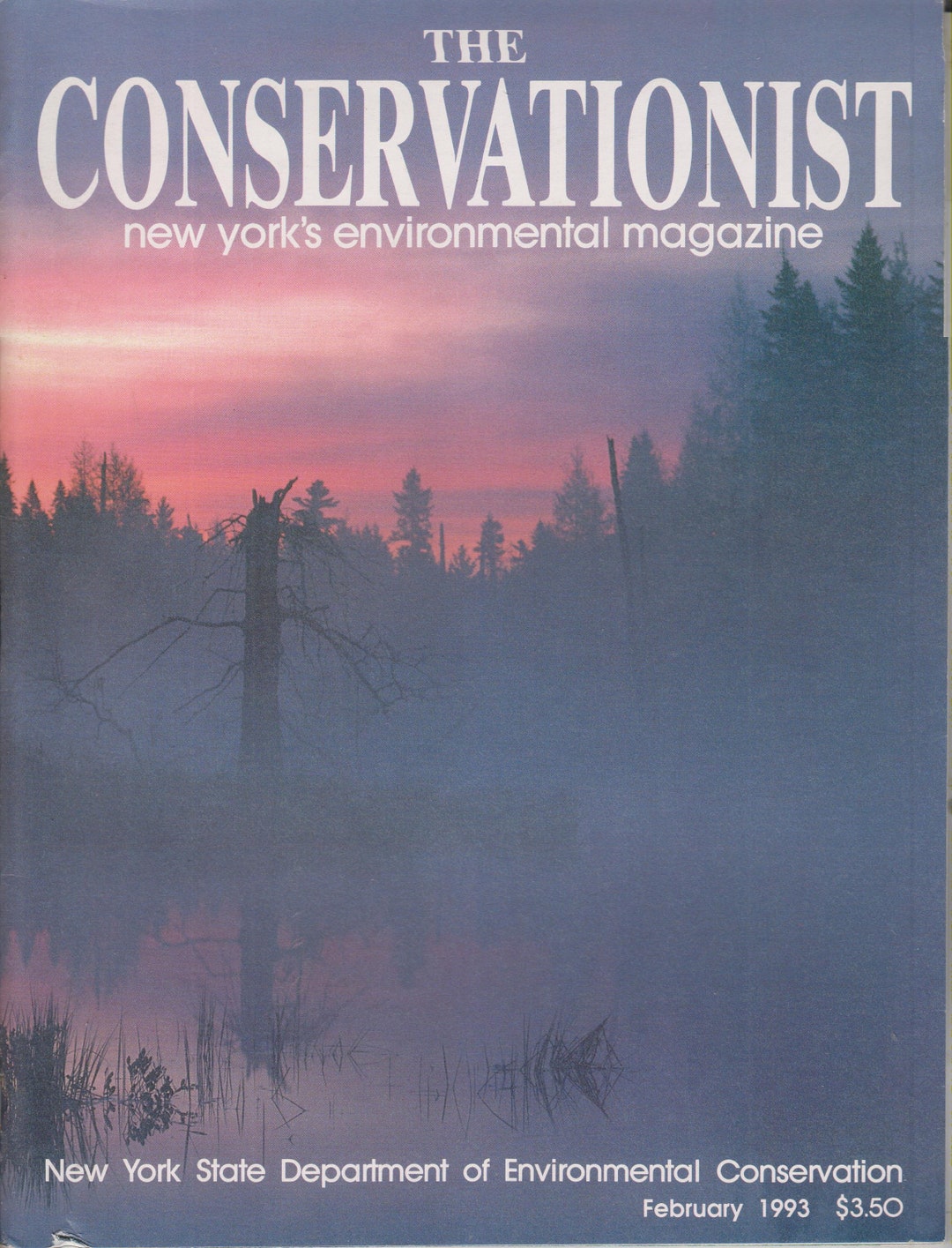 The Conservationist February 1993 Water Bugs and Beetles, St. Lawrence ...