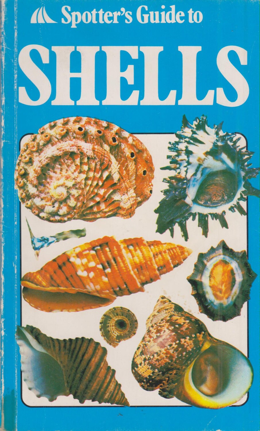 Spotter's Guide to Shells