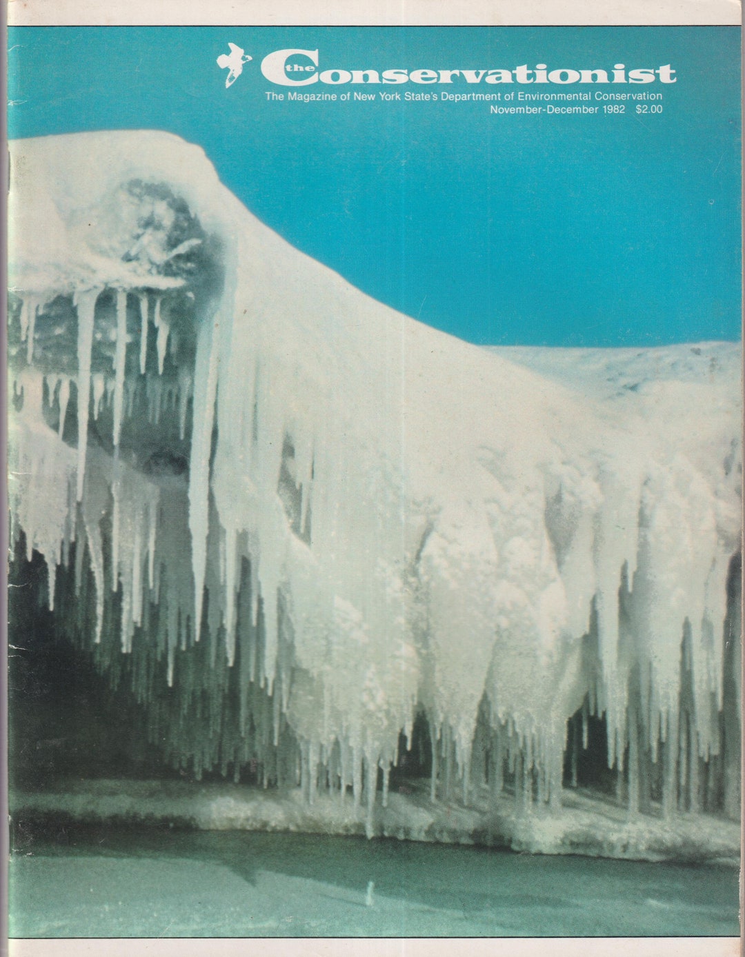 The Conservationist Magazine, November/december 1982, Duck Hunting - Etsy