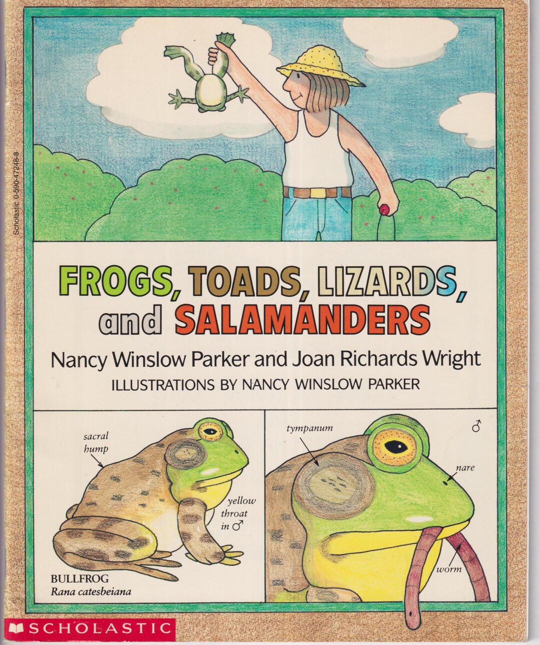 Frogs, Toads, Lizards and Salamanders softcover: Juvenile Nonfiction ...