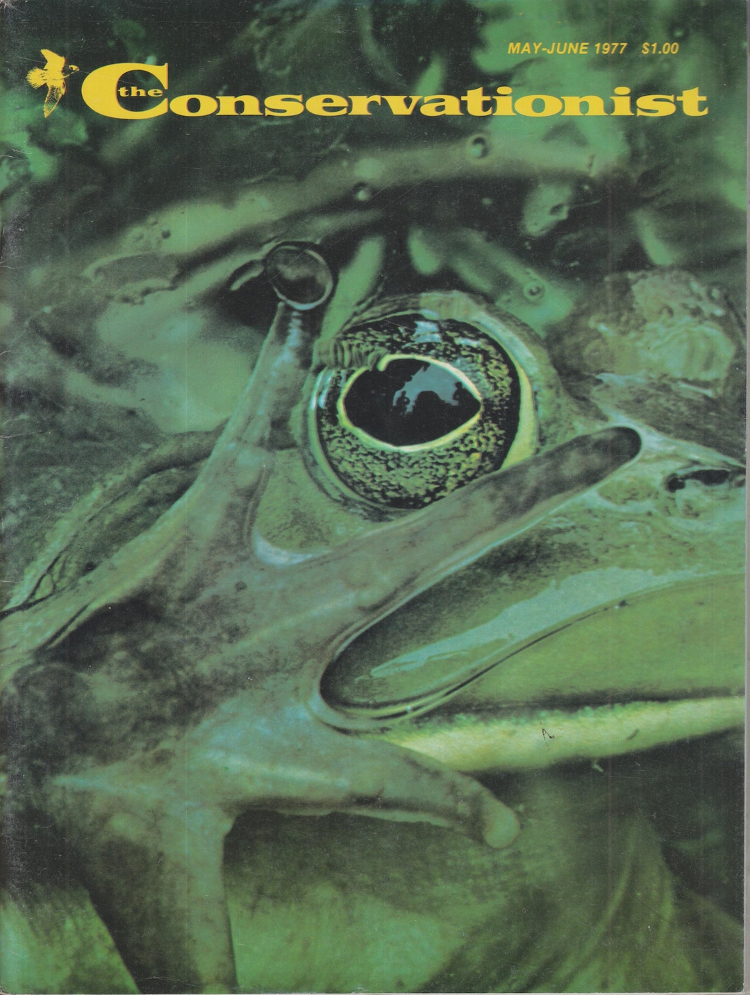 The Conservationist May June 1977 Otter, Tidal Flats in the Hudson ...