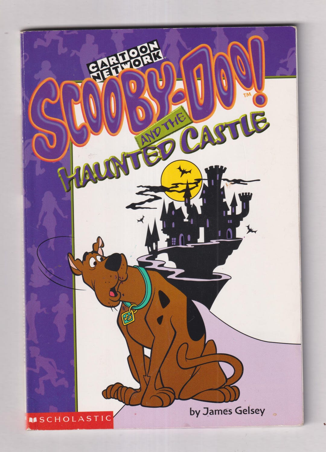 2 Book Set Scooby-doo and the Haunted Castle and Scooby-doo Haunted Hi ...