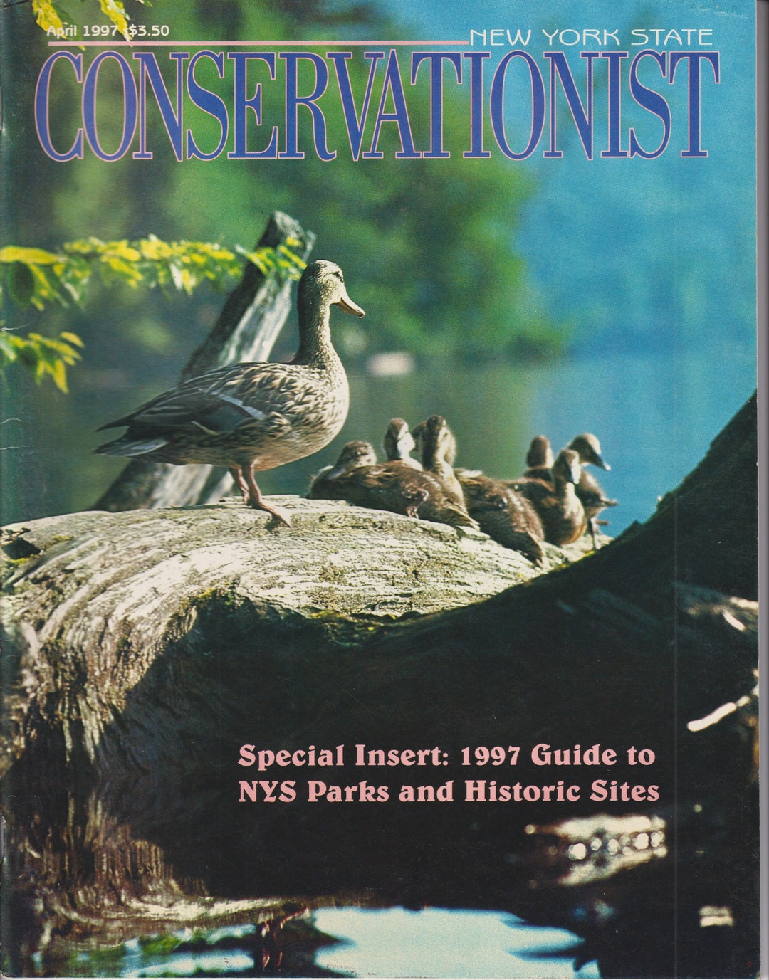 The Conservationist April 1997 Stirrings of Spring, Snowshoe Hare, NYS ...