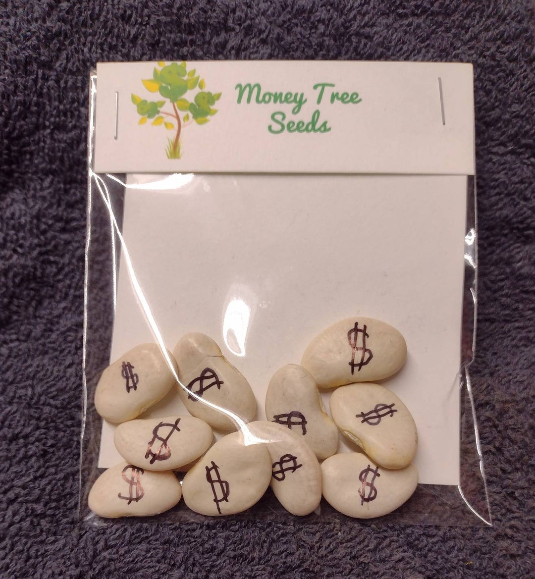 Money Tree Seeds - Etsy