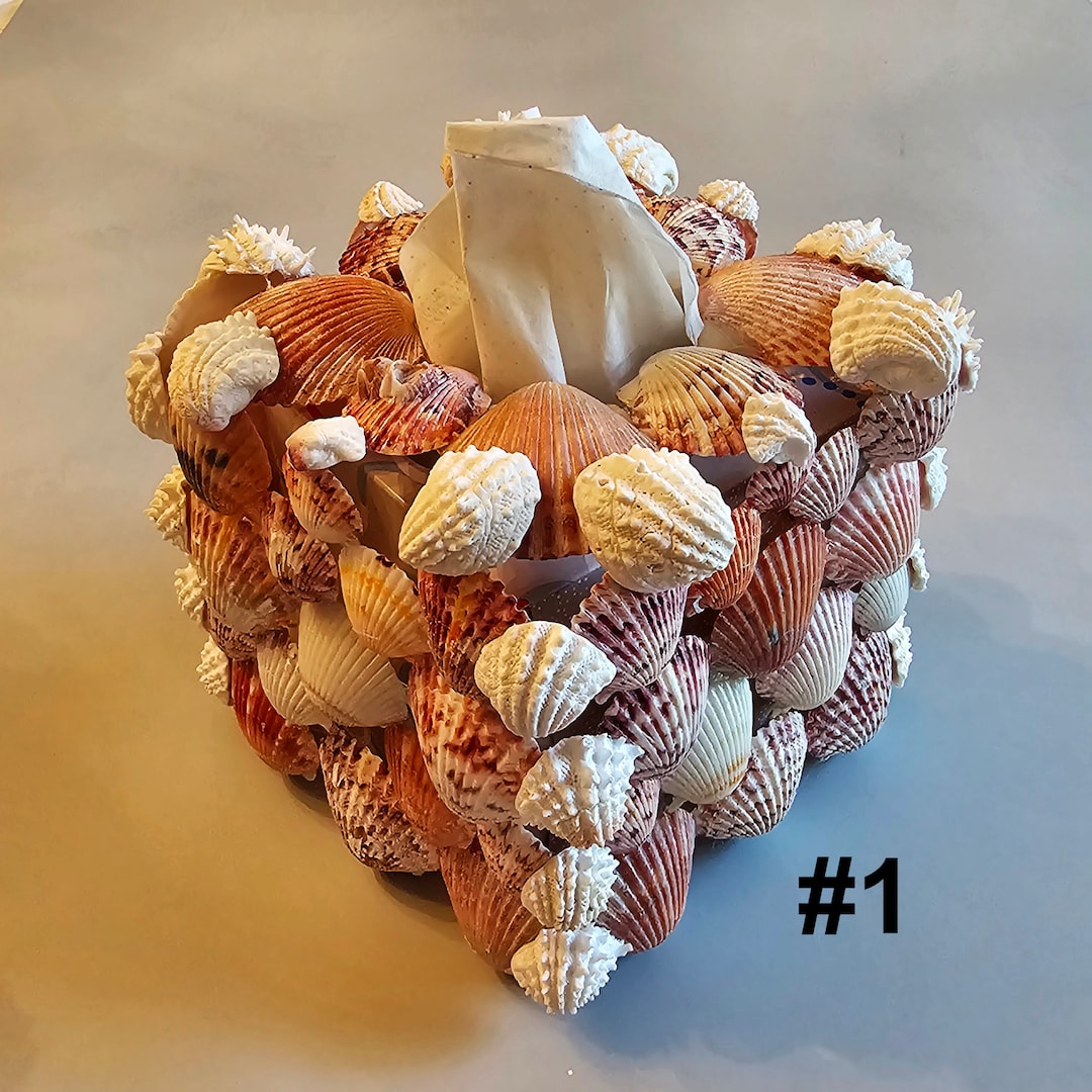 Seashell Tissue Box Cover - Etsy