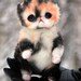 Memebon exotic shorthair kitten Pets toys & Fantasy creatures | Etsy