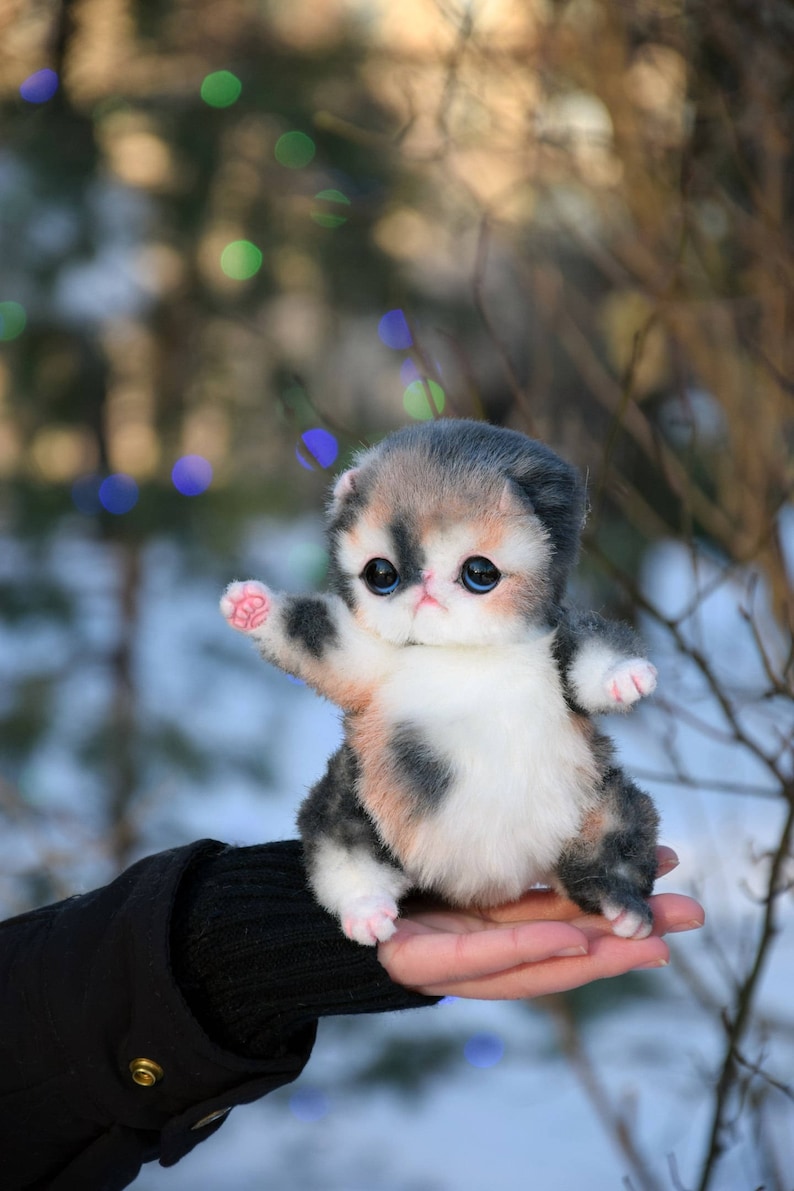 Memebon exotic shorthair kitten Pets toys & Fantasy creatures | Etsy