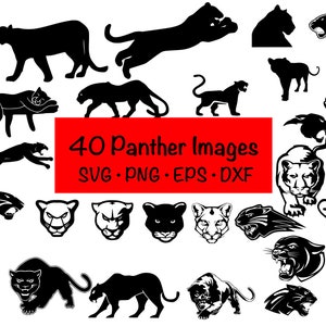 Panthers Svg - Etsy