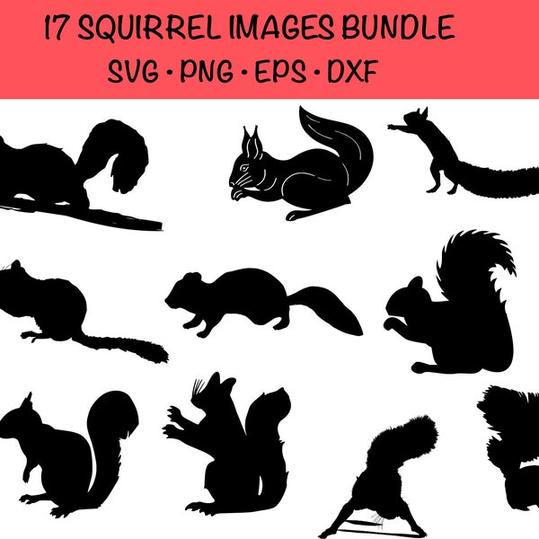 Squirrel Svg - Etsy