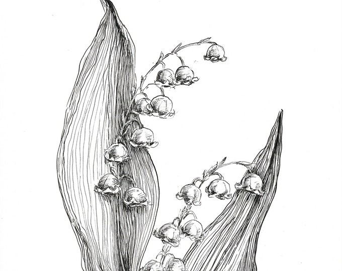 Lily of the Valley Art, Original Sketch Art, Lily Flower, Lily Sketch ...