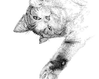 Tiger lily drawing flower wall art flower prints pen and | Etsy