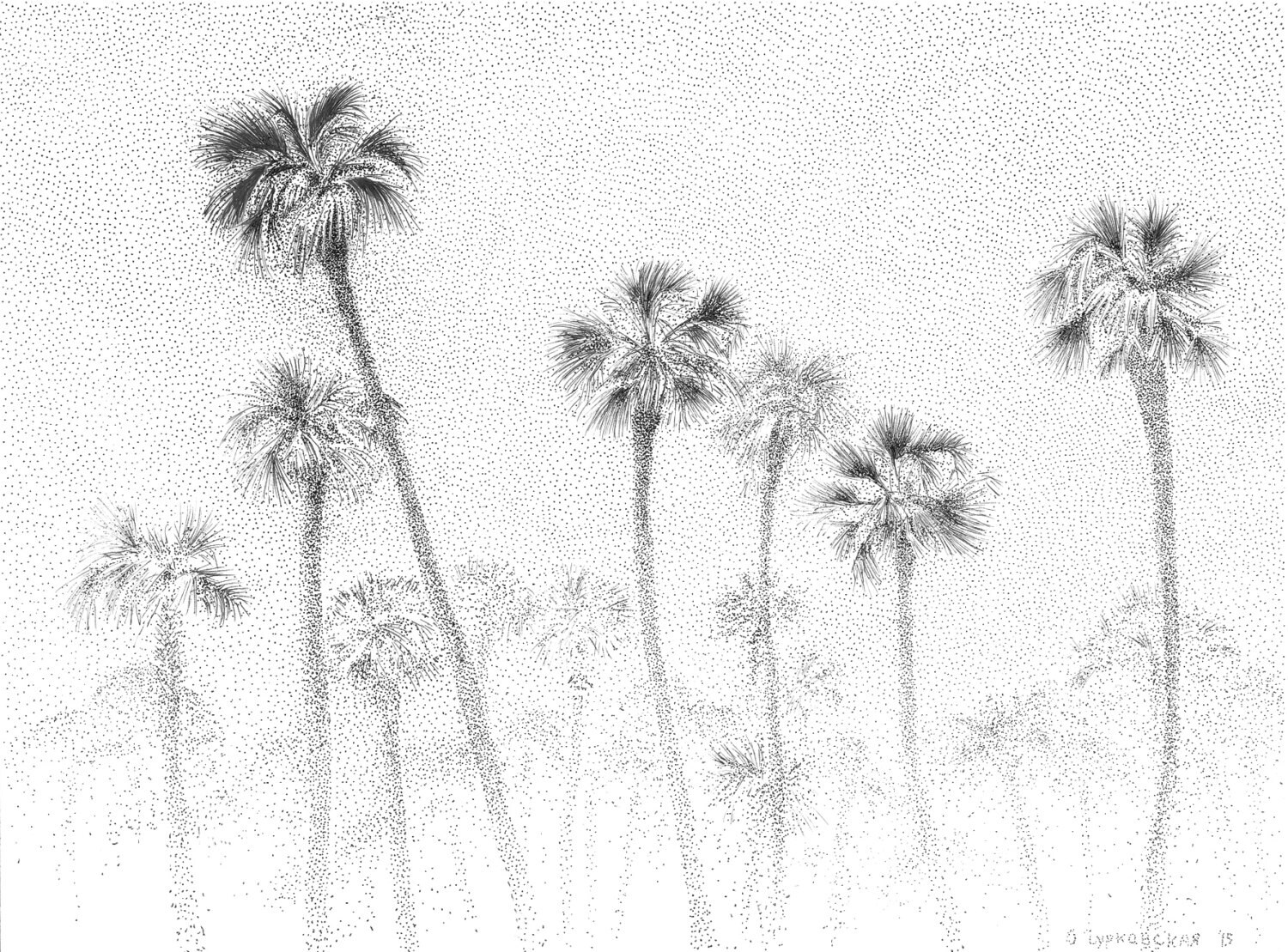 Cool Palm Tree Drawings
