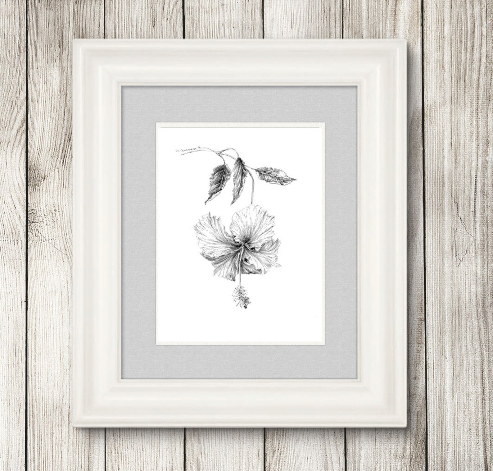 Hibiscus Illustration, Pen and Ink Floral Poster, Hibiscus Art Prints ...