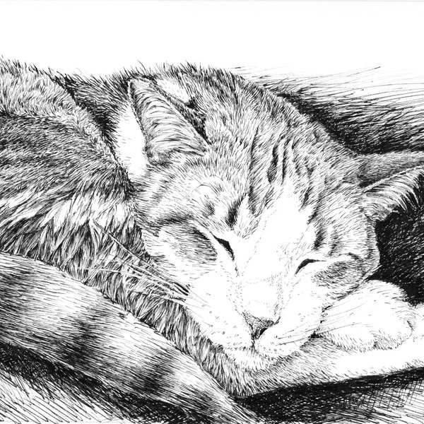 Cat Pen and Ink - Etsy