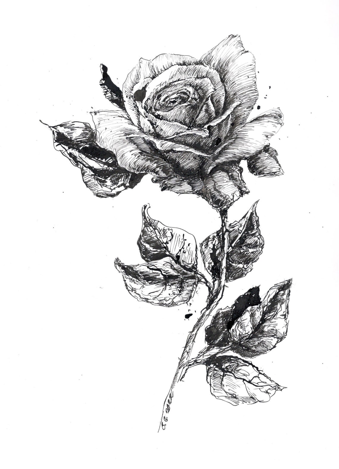Original Artwork, Rose Ink Sketch, Rose Drawing, Original Art Rose ...