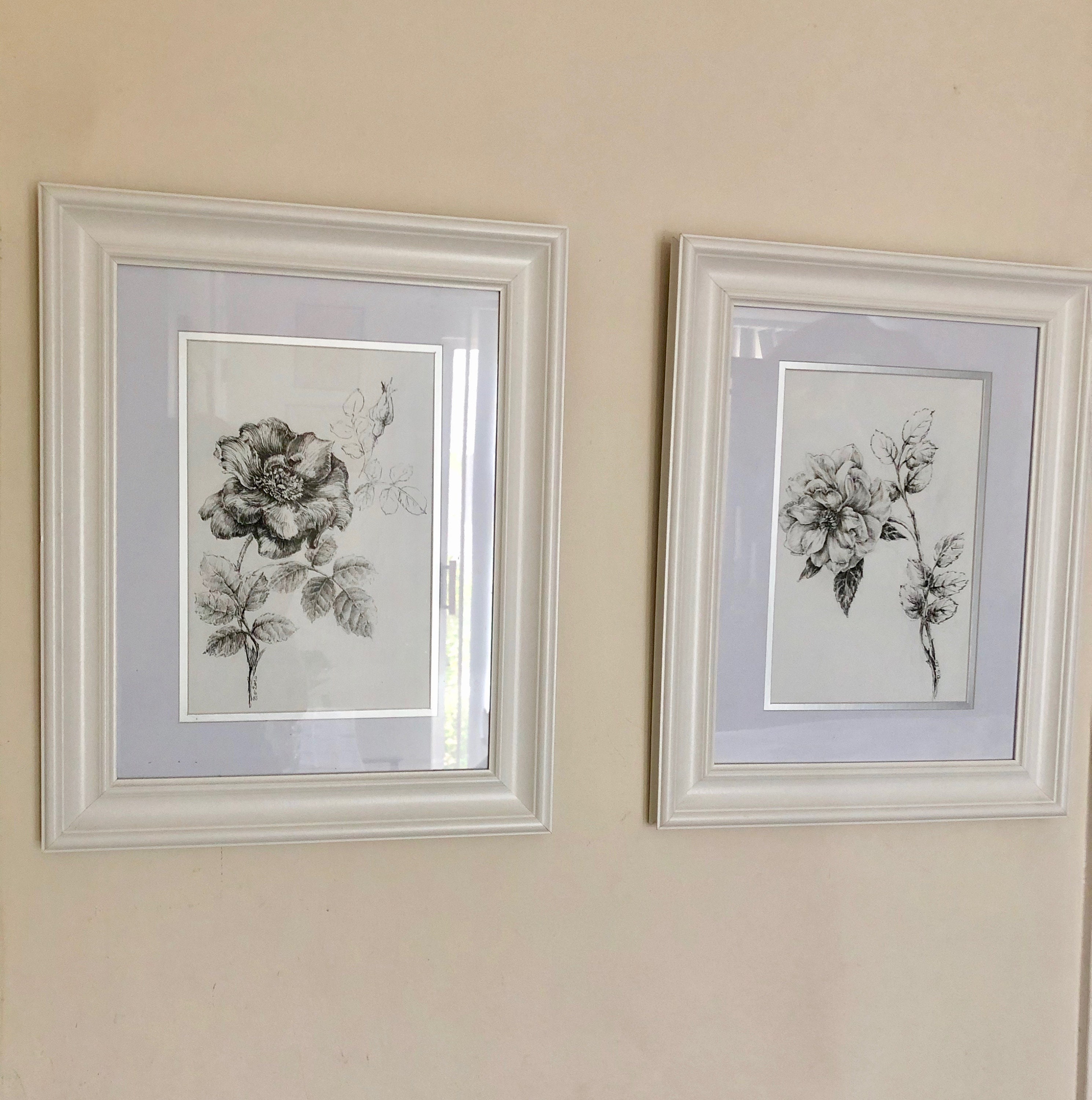 White Rose Drawing, Rose Art Print, Rose Artwork, Rose Flower, Rose ...