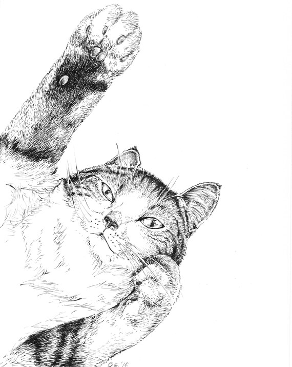 Cat Hand Drawing