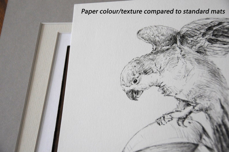 Cat Ink Drawing, Cat Art Print, Prints of Pets, Pet Cat Animal Art, Pet ...