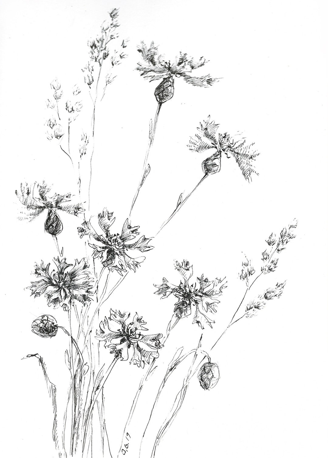 Wildflowers Print, Cornflowers Drawing, Field Flowers Sketches, Country ...