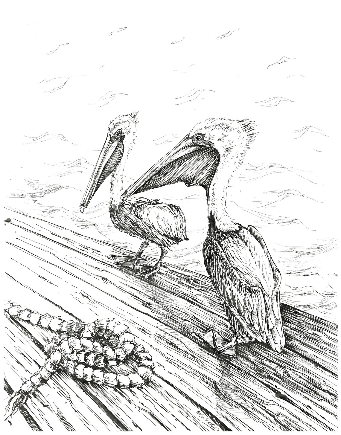 Coastal Art Print, Sea Art Sketch, Pelican Drawing, Sea Birds Prints ...