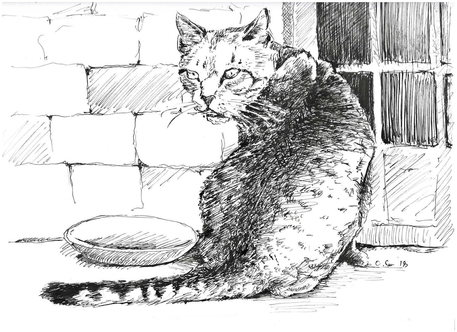 Cat Sketch, Pen and Ink, Sketch Print, Print of Cat Art, Cat Ink ...