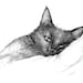 Cat Ink Drawing, Cat Art Print, Prints of Pets, Pet Cat Animal Art, Pet ...