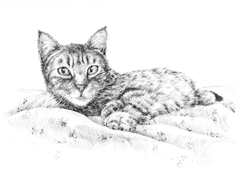 Cat Sketch Pen and Ink Sketch Print Print of Cat Art Cat | Etsy