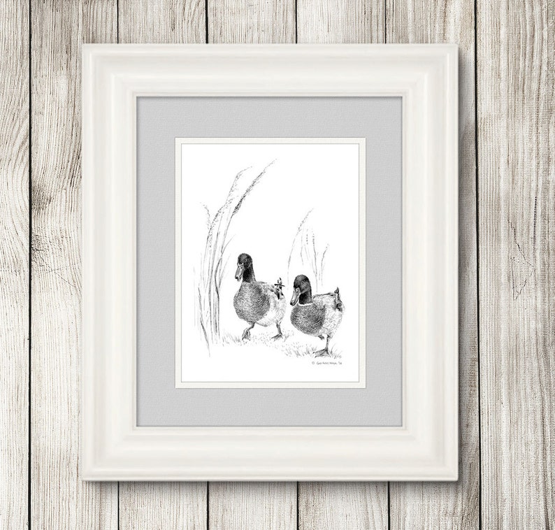 Duck Art Print Pen Ink Landscape Water Bird Drawing Duck - Etsy