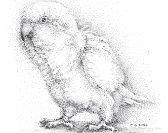 Stippling Original Art - Etsy